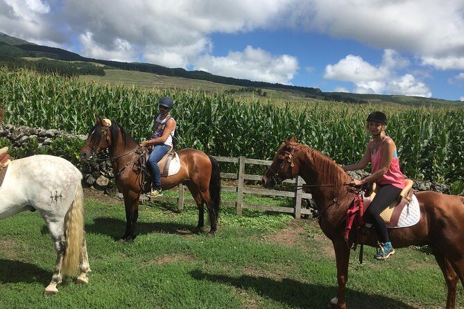 ride a volcano - go to the gardens in the woods - An In-Depth Look at the Experience