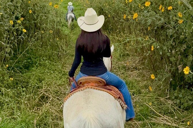 Ride Ajusco mountain trails & enjoy a ranch barbecue - Quick introduction