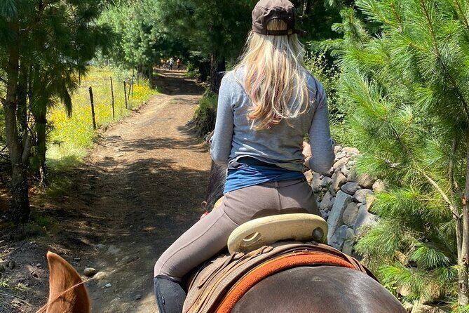 Ride Ajusco mountain trails & enjoy a ranch barbecue - Exploring the Itinerary