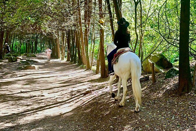 Ride Horses, Learn to Cook with Locals in Mexico City - A Deep Dive into the Tours Itinerary