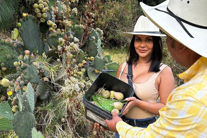 Ride Horses, Learn to Cook with Locals in Mexico City - Practical Tips for Future Travelers