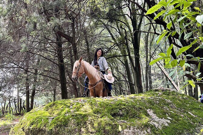 Ride Horses, Learn to Cook with Locals in Mexico City - Frequently Asked Questions