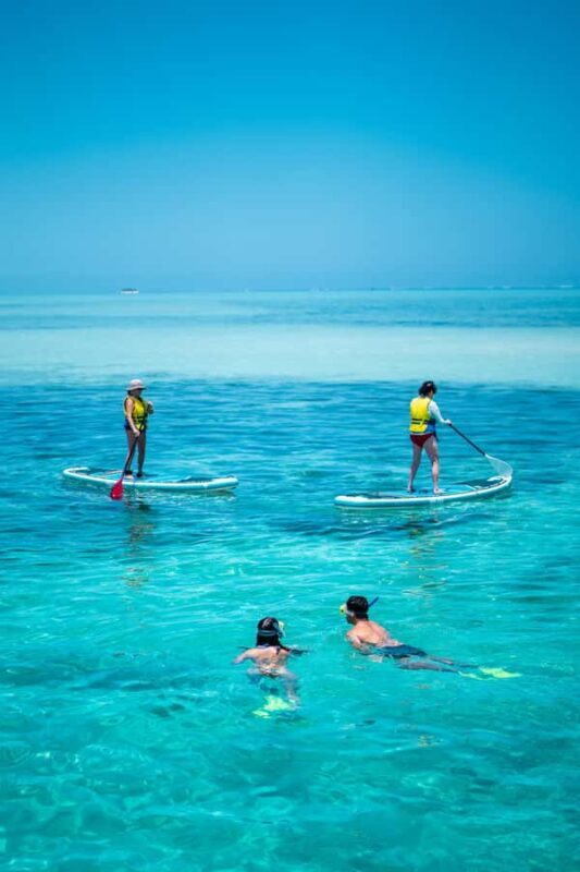 Ride & Slide by South Sea Cats - Half Day Snorkelling Trip - Practical Details & What to Know