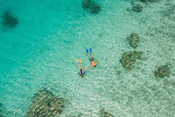 Ride & Slide by South Sea Cats - Half Day Snorkelling Trip - The Value and Overall Experience