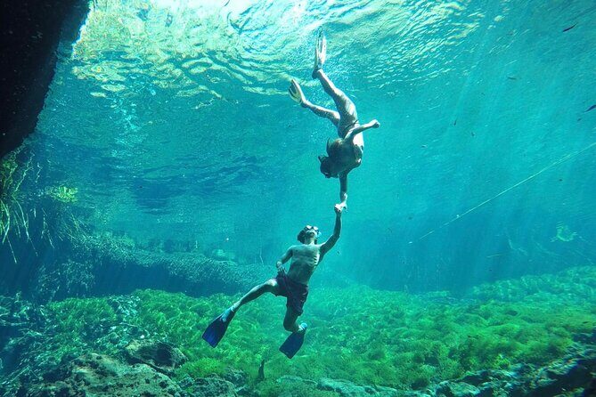 Ride to a life changing cenotes tour - An In-Depth Look at the Cenotes Tour Experience