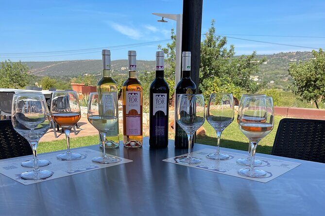 Ride & Wine: Scenic Quinta Da Tor Winery Electric 2x2 bike Tour - Exploring the Itinerary in Detail