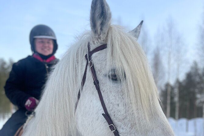 Riding Tour with Finnhorses at Santa Claus Village - The Itinerary: From Santa Claus Village to Snowy Forests and Back