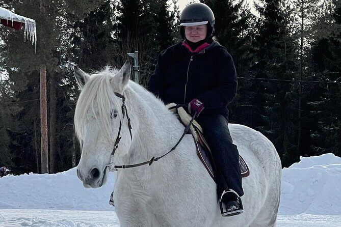Riding Tour with Finnhorses at Santa Claus Village - What Makes This Tour Stand Out?