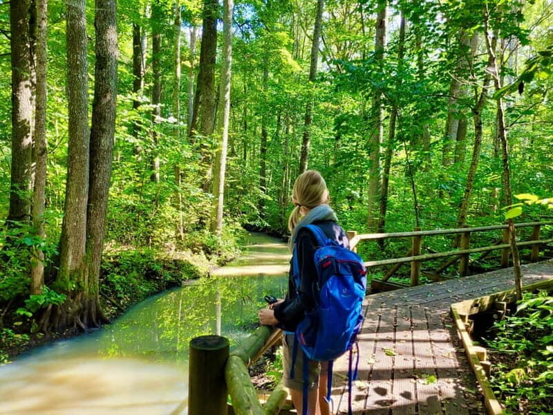 Riga: Best of Kemeri National Park In One Day - Key Points