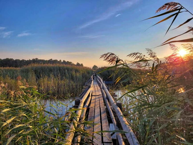 Riga: Best of Kemeri National Park In One Day - Exploring Latvia’s Natural Wonders: A Complete Breakdown of the Kemeri National Park Tour