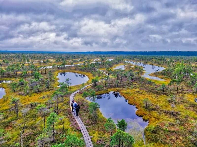 Riga: Best of Kemeri National Park In One Day - Lake Kaieris & Bird Watching Tower – A Lagoon of Life