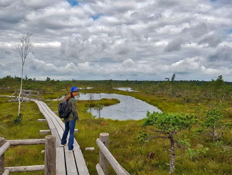 Riga: Best of Kemeri National Park In One Day - Practical Details & Experience Quality