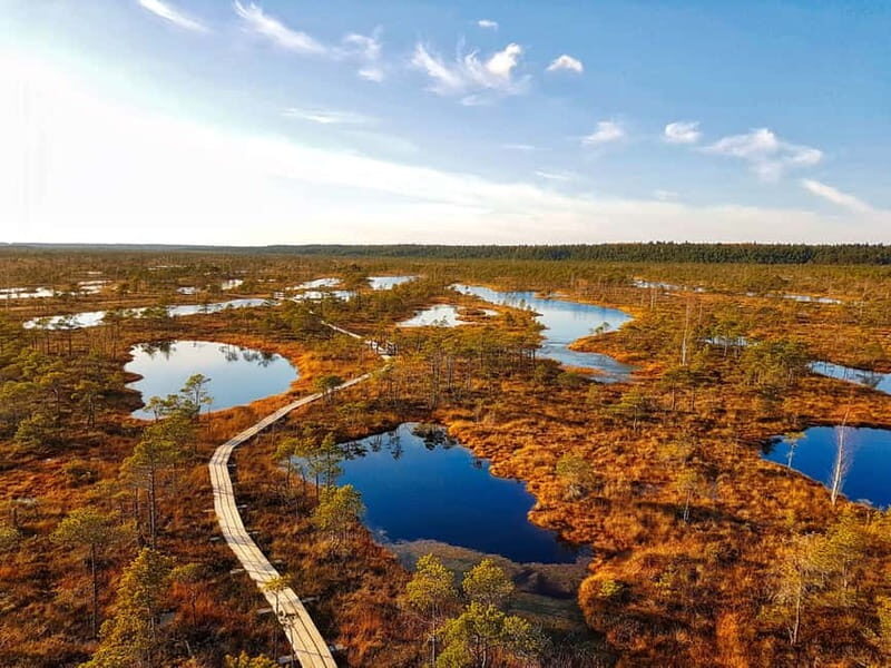Riga: Best of Kemeri National Park In One Day - Who Will Love This Tour?