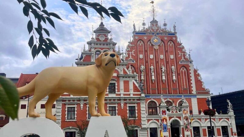 Riga: Canal Boat Tour with Drink & Old Town Audio Tour - Practical Tips for the Tour