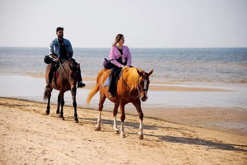 Riga Horse Riding tour along the Beach - What to Expect from the Riga Horse Riding Tour