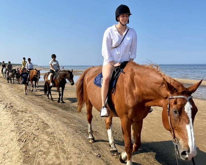 Riga Horse Riding tour along the Beach - The Sum Up
