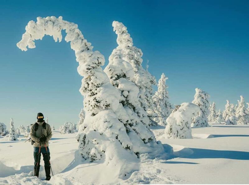 Riisitunturi & Frozen Waterfall Full Day Tour with Photos - The Practical Details: Whats Included and What to Know