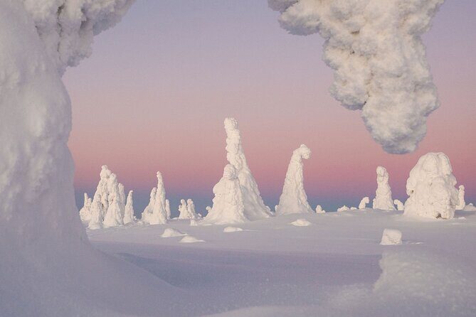 Riisitunturi Snow Monsters Winter Hike from Rovaniemi with Lunch - An Overview of the Riisitunturi Snow Monsters Winter Hike