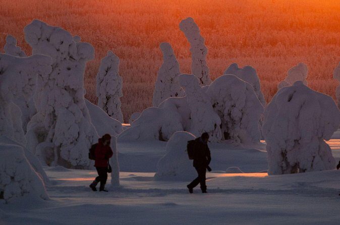 Riisitunturi Snow Monsters Winter Hike from Rovaniemi with Lunch - Transportation and Group Size