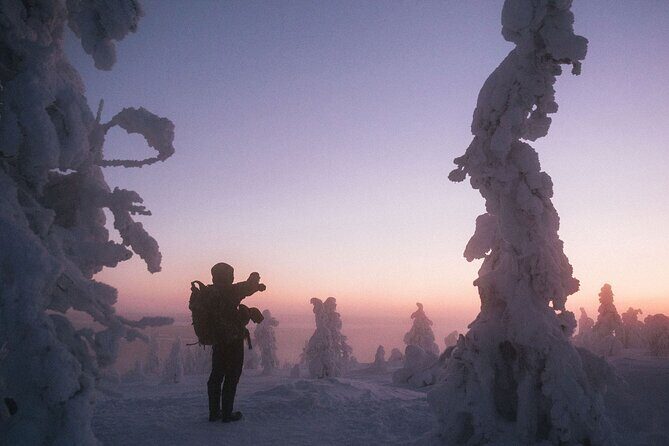 Riisitunturi Snow Monsters Winter Hike from Rovaniemi with Lunch - Weather and Cancellation Policies