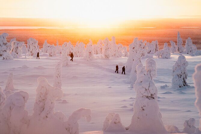 Riisitunturi Snow Monsters Winter Hike from Rovaniemi with Lunch - Authenticity and Value