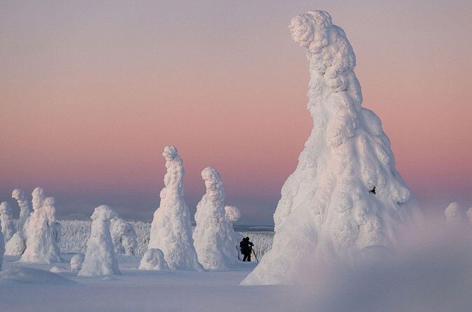 Riisitunturi Snow Monsters Winter Hike from Rovaniemi with Lunch - Who Is This Tour Best For?