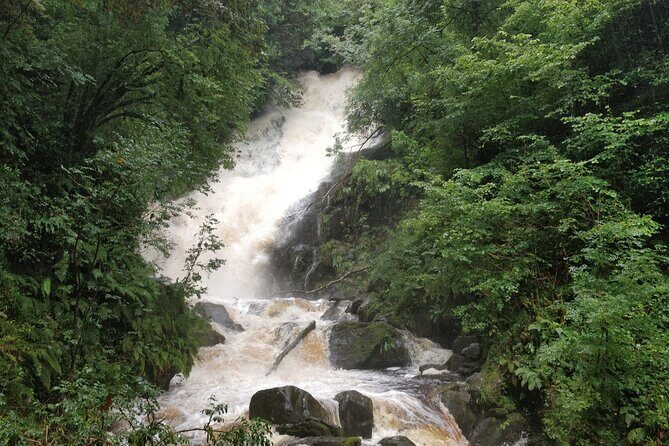 Ring of Kerry and Kerry Cliffs Private Tour - The Sum Up