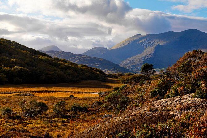Ring of Kerry Day Tour from Cork: Including Killarney National Park - The Pros and Cons: Honest Insights from Travelers