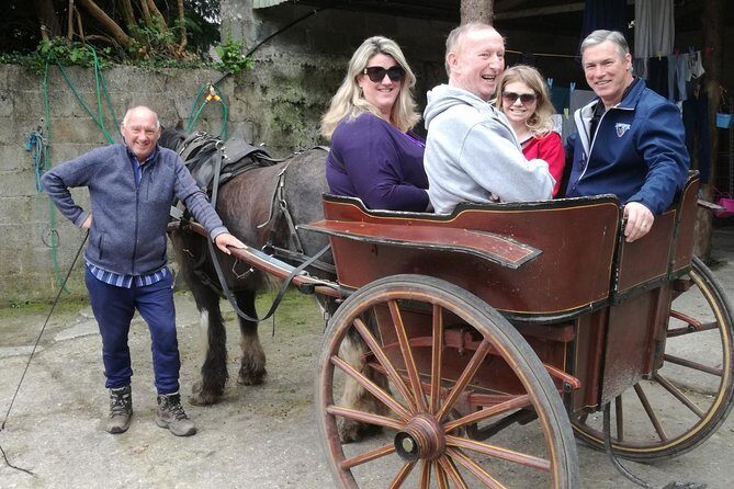 Ring of Kerry Tour Private Chauffeur Driven From Killarney - A Detailed Look at the Tour