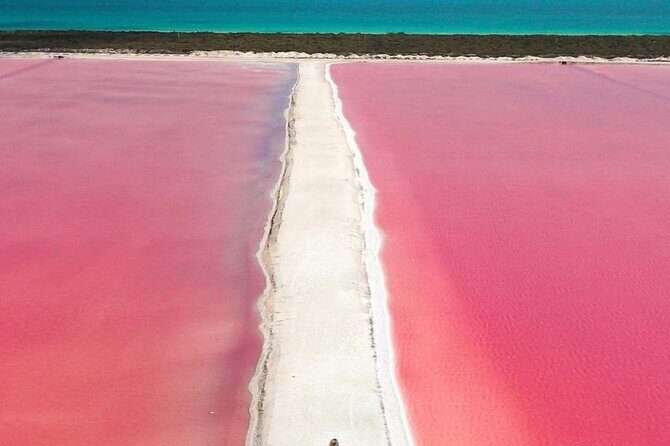 Rio Lagartos and Las Coloradas Day Tour from Cancun - FAQs