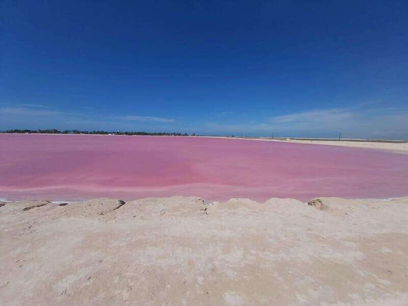 Rio Lagartos and Las Coloradas: EcoSafari Flamingo Luxury - Final Thoughts