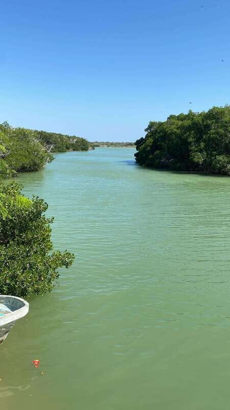Río Lagartos and Las Coloradas: Natural Experience - Key Points