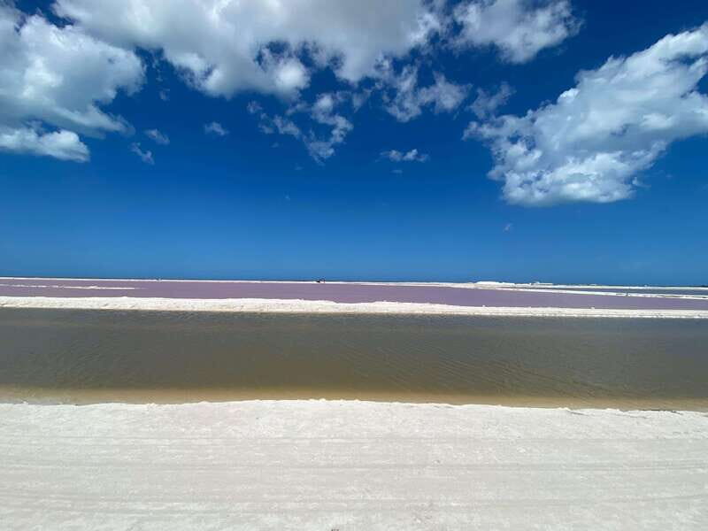 Río Lagartos and Las Coloradas: Natural Experience - The Benefits of This Tour