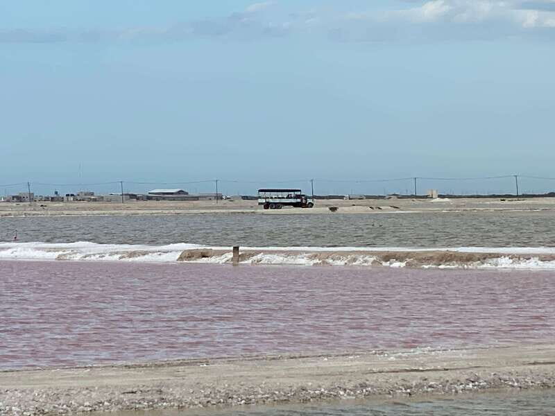 Río Lagartos and Las Coloradas: Natural Experience - Who Is This Tour Best For?