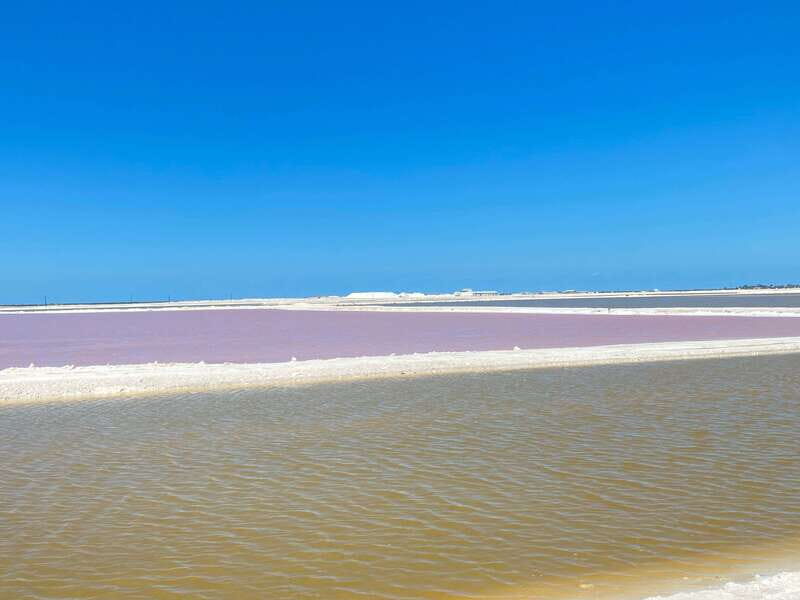 Río Lagartos and Las Coloradas: Natural Experience - Final Thoughts