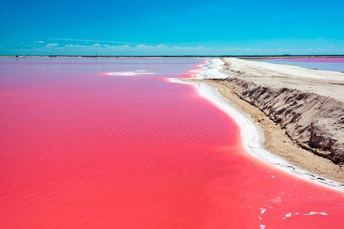 Rio Lagartos Biosphere + Coloradas Gorgeous Pink Lake! Transportation from Tulum - Final Thoughts