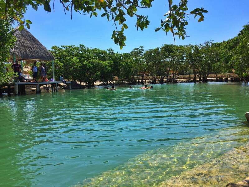 Rio Lagartos Expedition: boat journey through the mangrove - Key Points