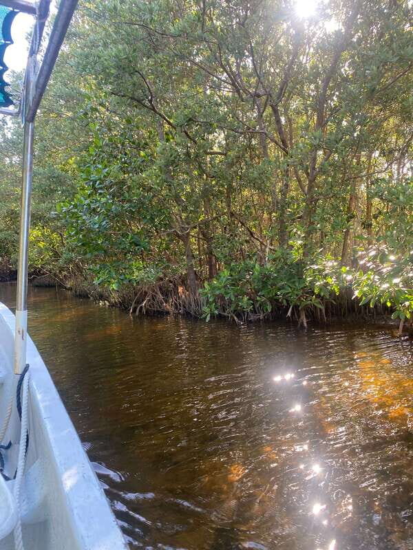 Rio Lagartos Expedition: boat journey through the mangrove - Final Thoughts