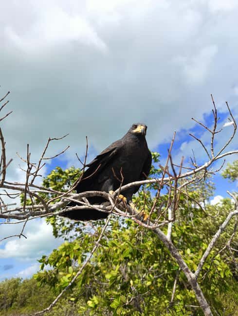 Rio Lagartos: Tour and Gastronomy - What to Bring and What to Know