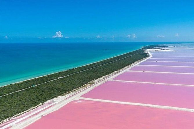 Río Lagartos y Las Coloradas Private Tour from Merida - Transportation, Duration, and Practicalities