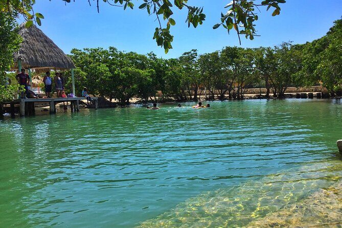 Rio Lizards and Las Coloradas Ecosafari Maya Natural Experience - An In-Depth Look at the Itinerary