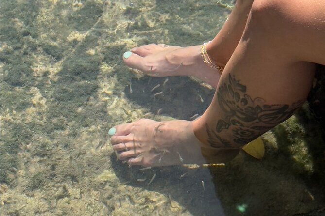 Rio Lizards and Las Coloradas Ecosafari Maya Natural Experience - Final Thoughts: Is This Tour Worth It?