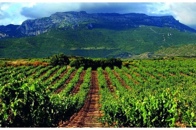 Rioja Alavesa Wineries and Medieval Villages Day Trip - What to Expect from the Rioja Alavesa Wineries and Medieval Villages Tour