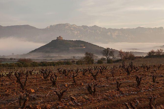 Rioja Alavesa Wineries and Medieval Villages Day Trip - The Sum Up