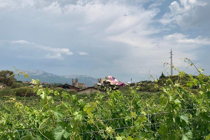 Rioja Alavesa Wineries and Medieval Villages Day Trip - FAQ