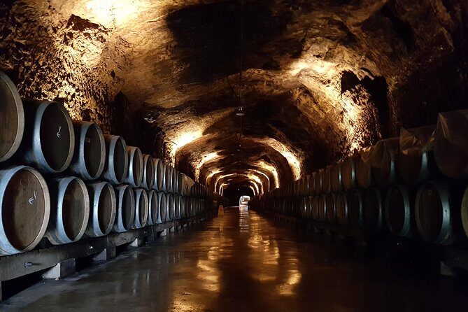 Rioja Full Experience Tour from San Sebastian with Lunch - The Itinerary: A Deep Dive