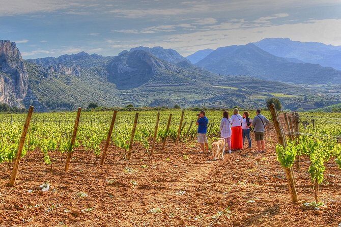 Rioja Like A Native Wine Tour - Discover Rioja Like a Native: An In-Depth Review of the Wine Tour