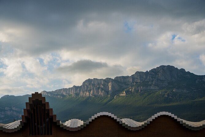 Rioja Uncorked: Private Wine Experience from San Sebastián - Final Thoughts