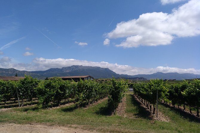 Rioja Uncorked: Private Wine Experience from San Sebastián - FAQ