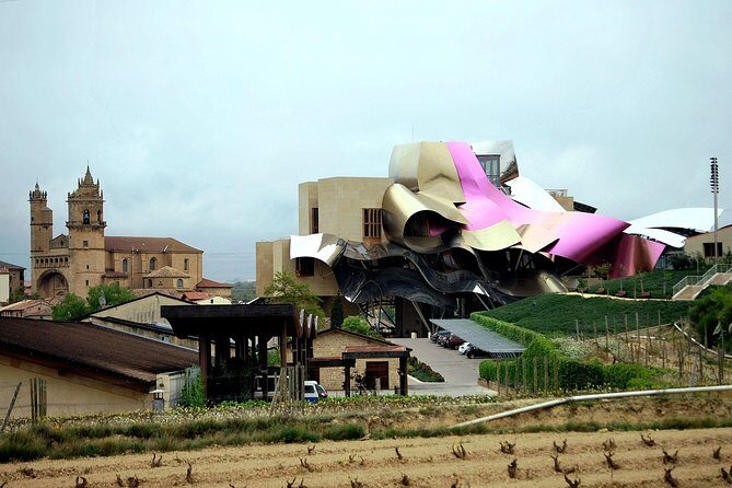 Rioja wine region with visit to winery & Vitoria-Gasteiz - Who Should Book This Tour?